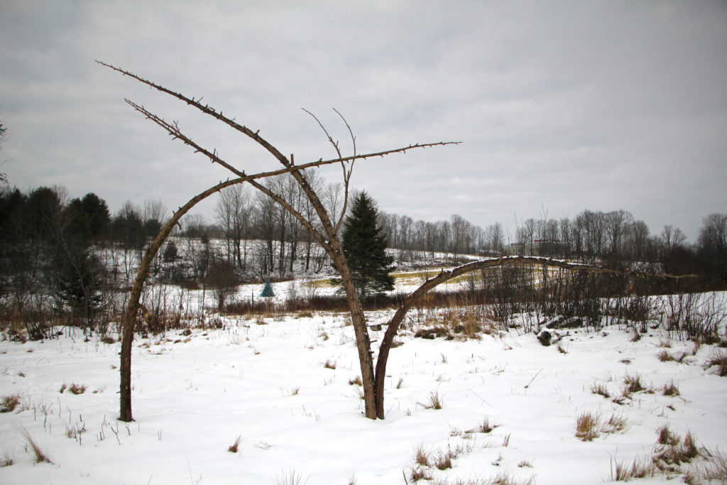 Brian Gluck - Highland Center for the Arts