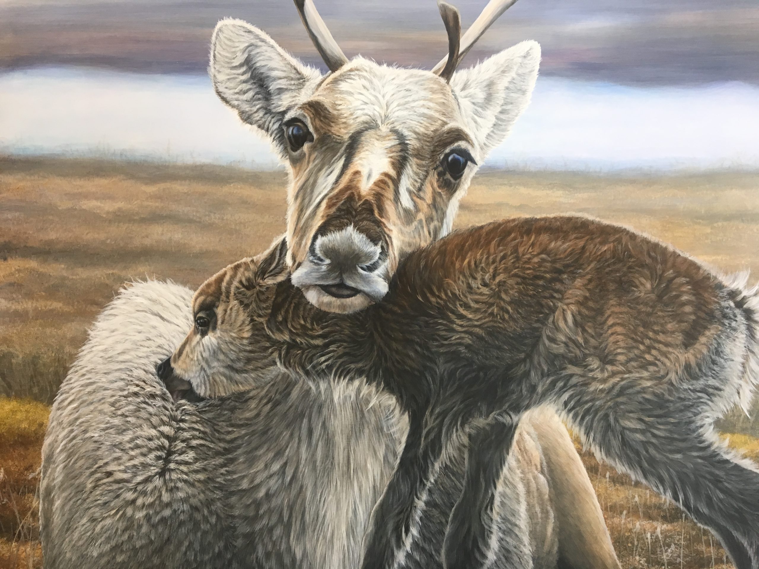 A Critical Balance Opening Reception | Highland Center for the Arts